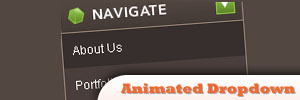 15 Great jQuery Navigation Menus — SitePoint