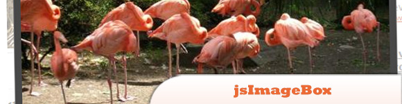 10 jQuery, Mootools, Prototype Lightbox Scripts — SitePoint